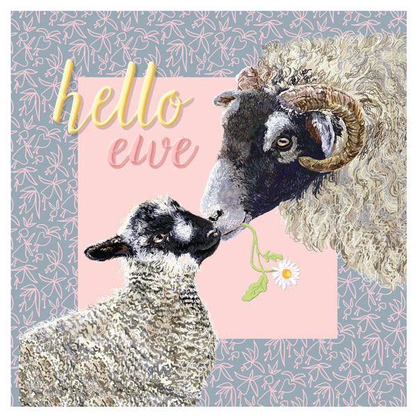 Hello Ewe! Greetings Card | Gibsons